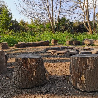 Home | Nursery & Forest School in Bexhill | Charters Ancaster